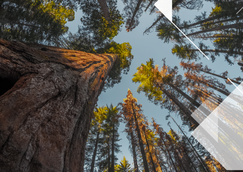 French Tech Seed - Boostez votre levée de fonds avec Hypérion - Cap Digital